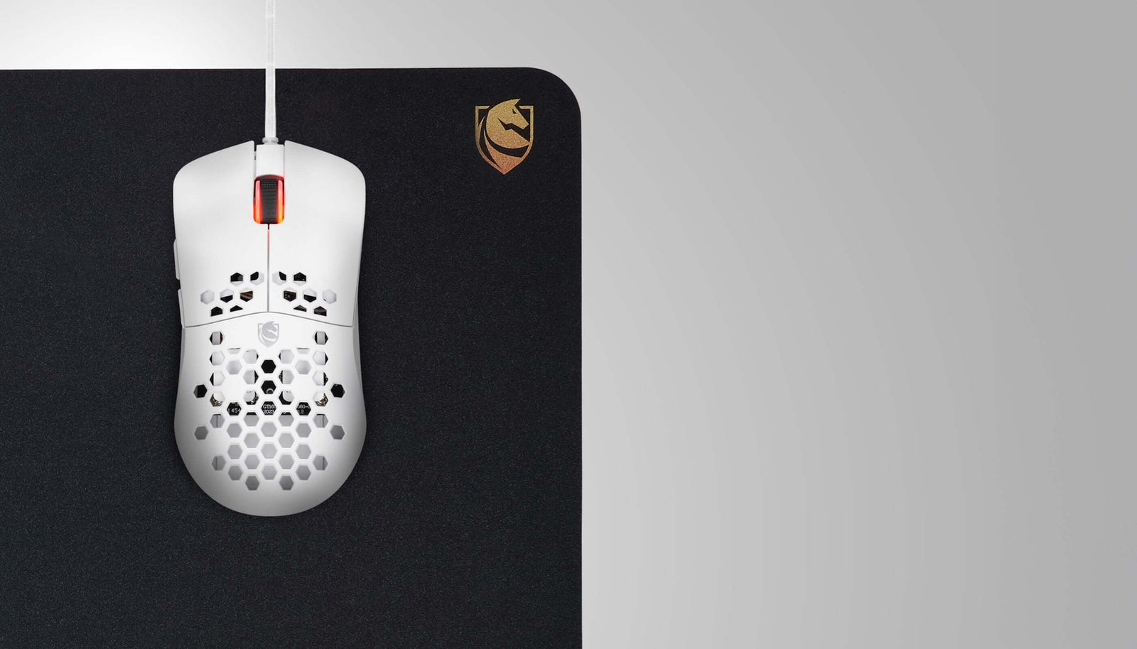 Custom Mechanical Keyboards Shop in Singapore | Steed Gaming